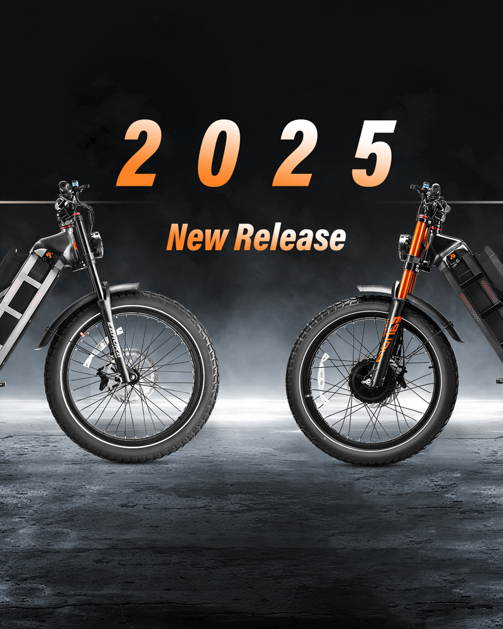 Eahora Ebikes US | Various Electric Bikes For Everyone's Demands
