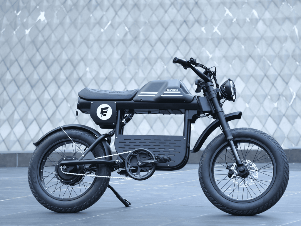 1000W Electric Bike | Moped Style eBike | Eahora FT-01