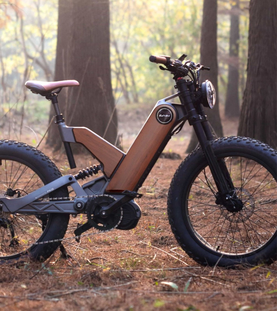 Eahora Ebikes US | Various Electric Bikes For Everyone's Demands
