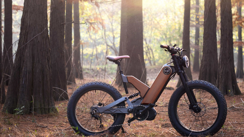 Eahora Ebikes US | Various Electric Bikes For Everyone's Demands