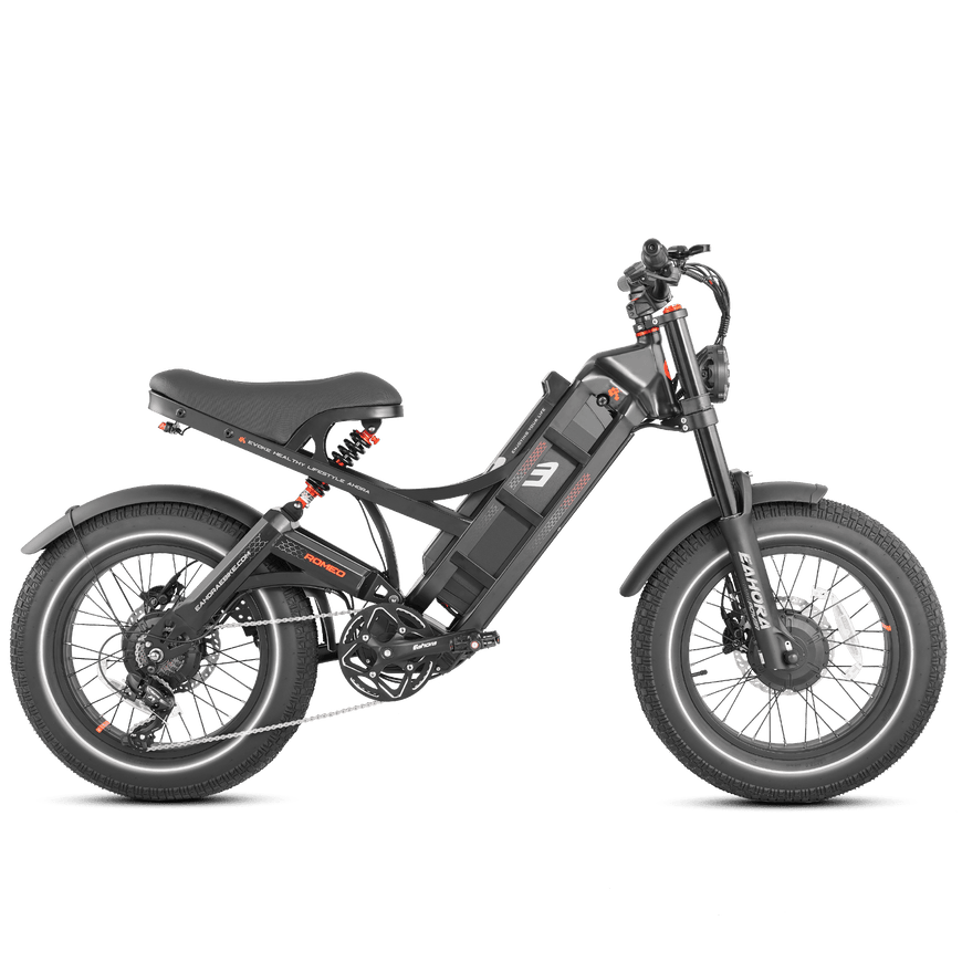 Eahora XC200 750W Fat Tire Electric Bike