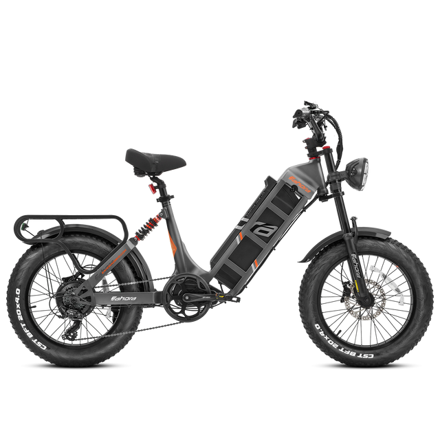 Eahora Ebikes US | Various Electric Bikes For Everyone's Demands