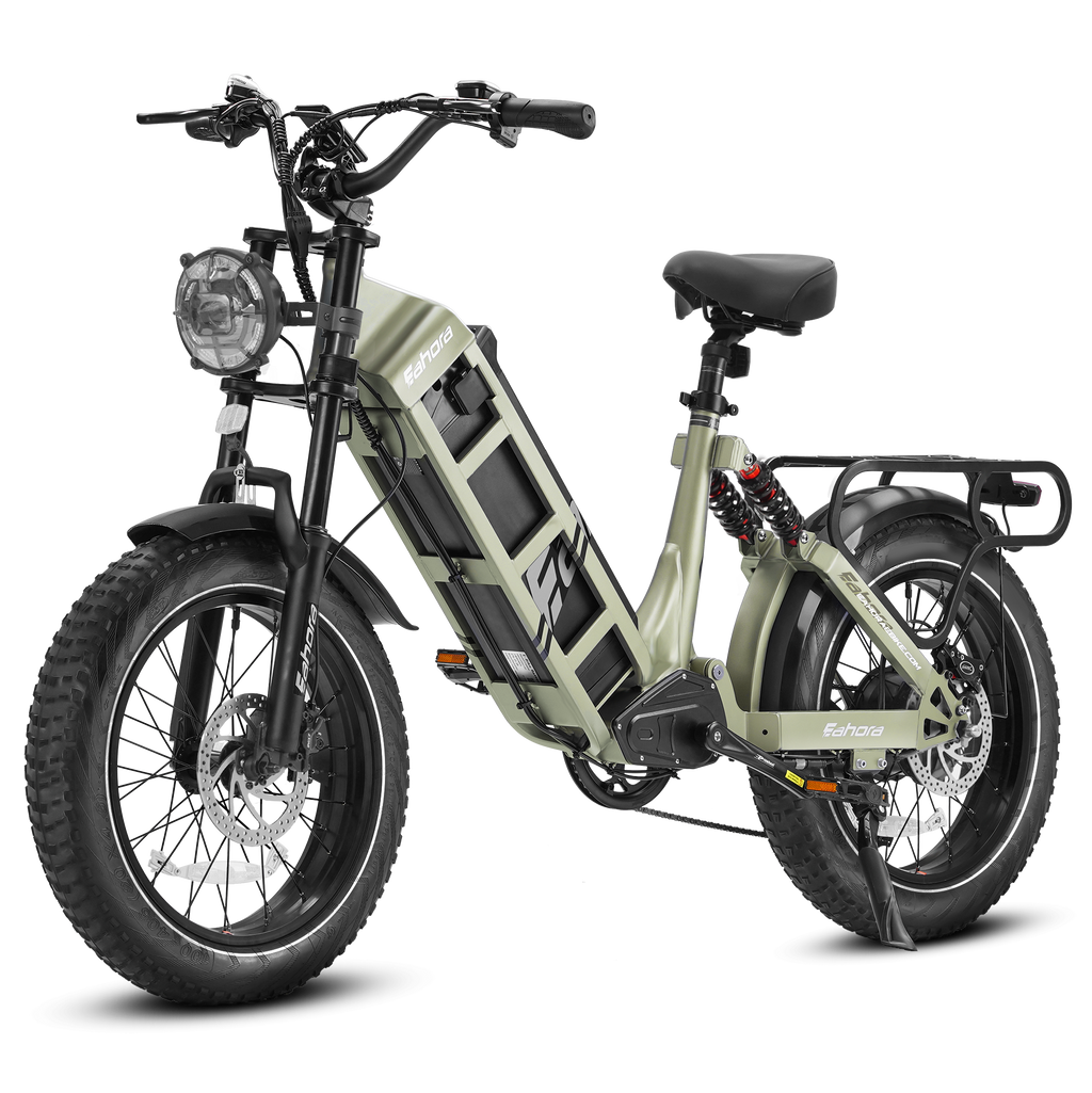 Long Range Ebike | Electric Bike 1000W | Eahora Juliet