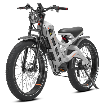 Romeo & Juliet Rear Basket – Eahora