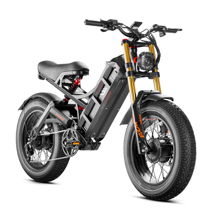 Electric Bike For Sale | Eahora Ebike